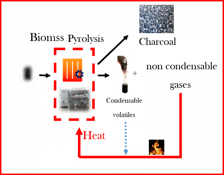 Sustainable solid biofuels - MNEXT