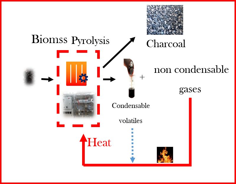 Sustainable solid biofuels - MNEXT