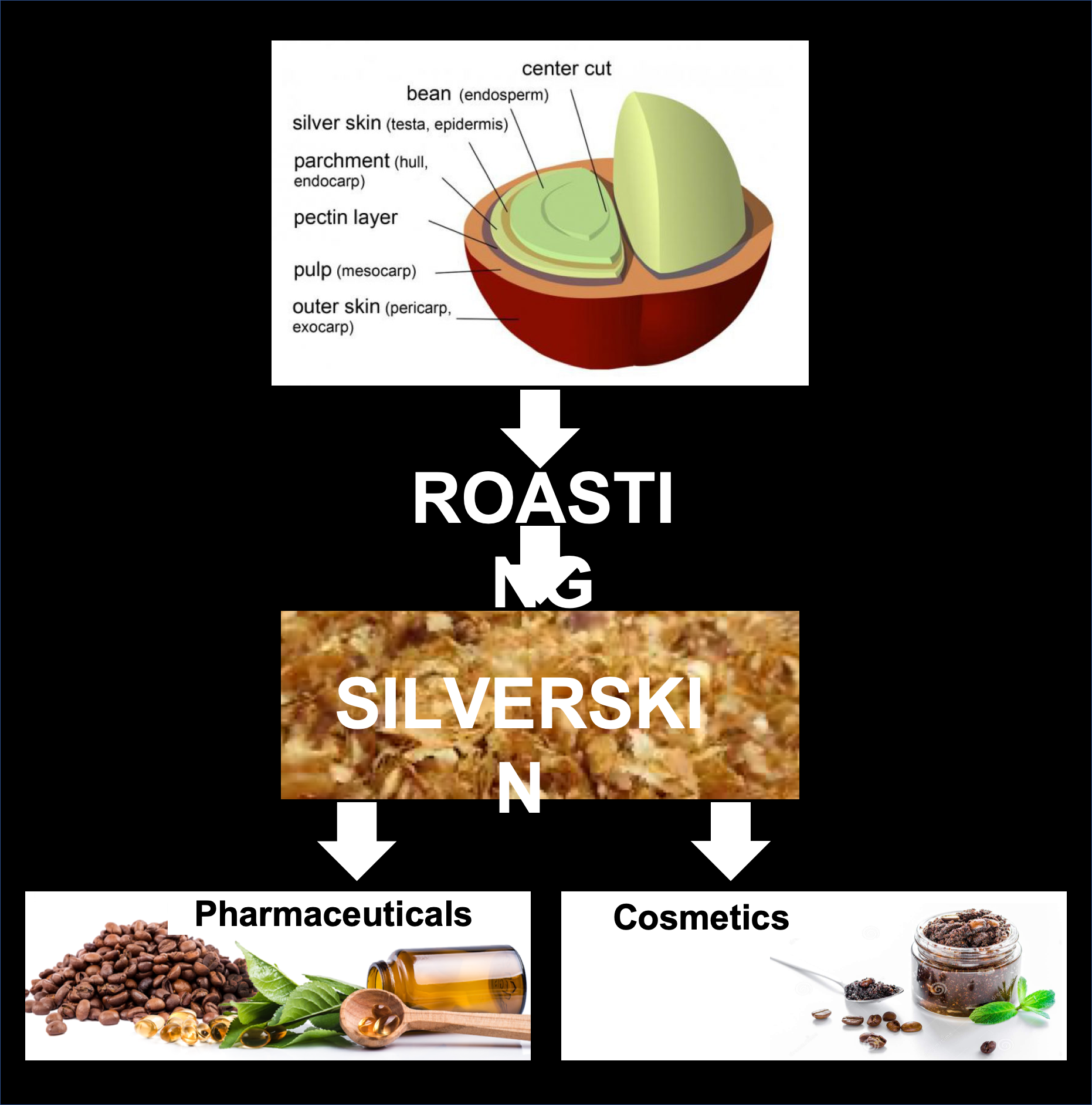 Coffee Silverskin Biomass Utilisation - MNEXT