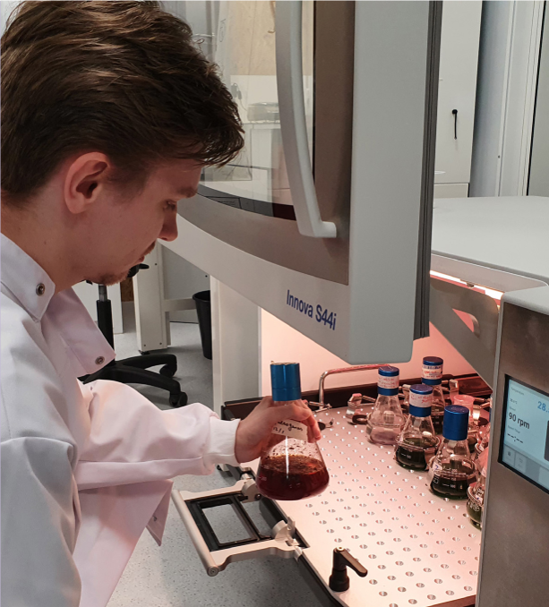 Mycelium Lab - MNEXT