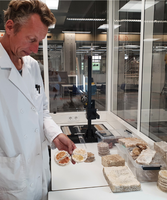 Mycelium Lab - MNEXT